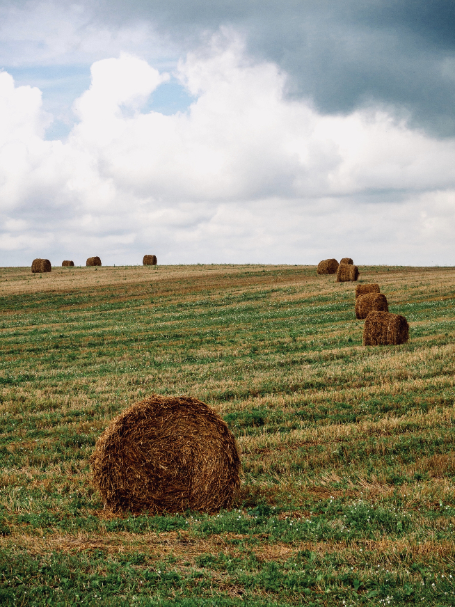 POEM: “Haymaking”