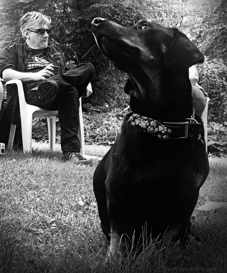 A Poetry Sampler from John Burroughs