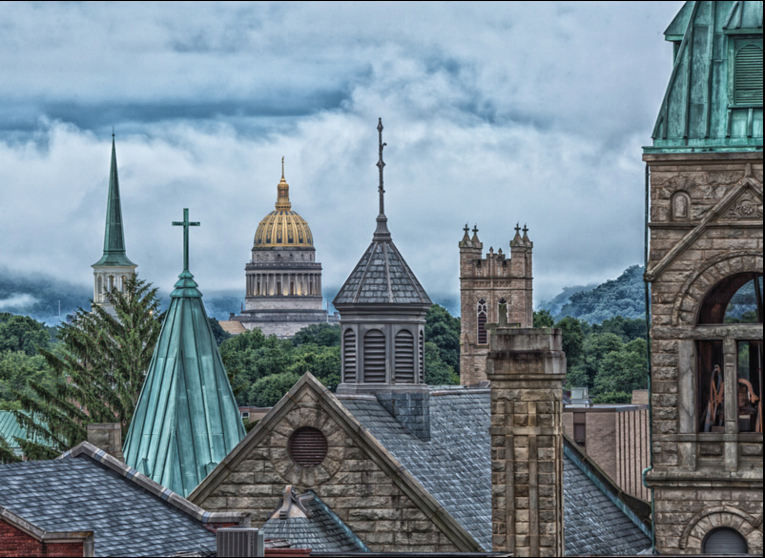 BEST/SHOT: Lights, Losers, Lovers, Lillies & Leaves